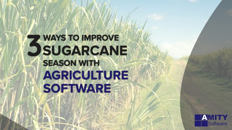 Custom Software Development Company Noida, India