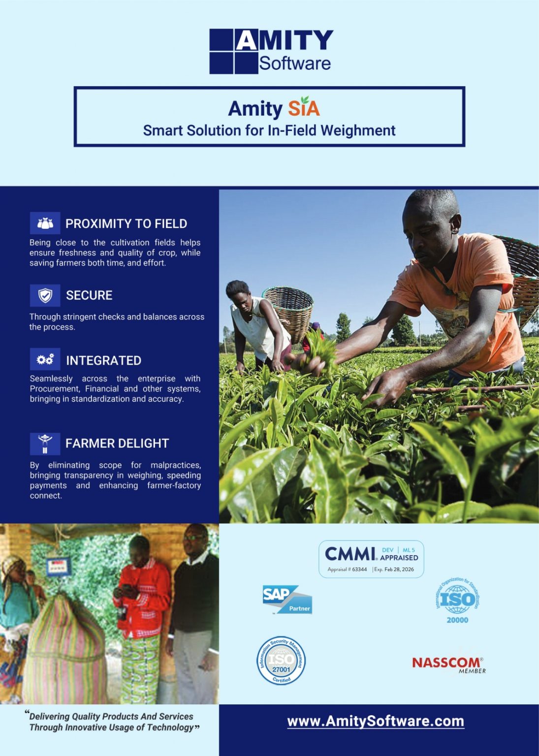 Brochures | Amity Software