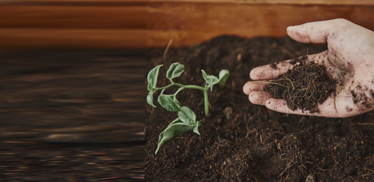 Seed Management Software | Seed Management System